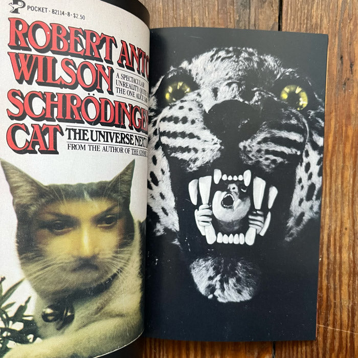 Mask Garden by Bibliomancer - Vintage Paperbacks – 50 Watts Books