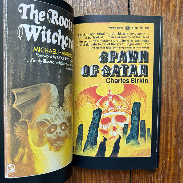 Binding the Devil by Bibliomancer - Vintage Paperbacks – 50 Watts Books