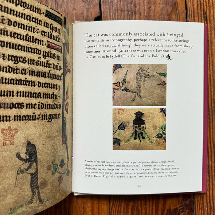 Cats in Medieval Manuscripts - British Library publication – 50 Watts Books