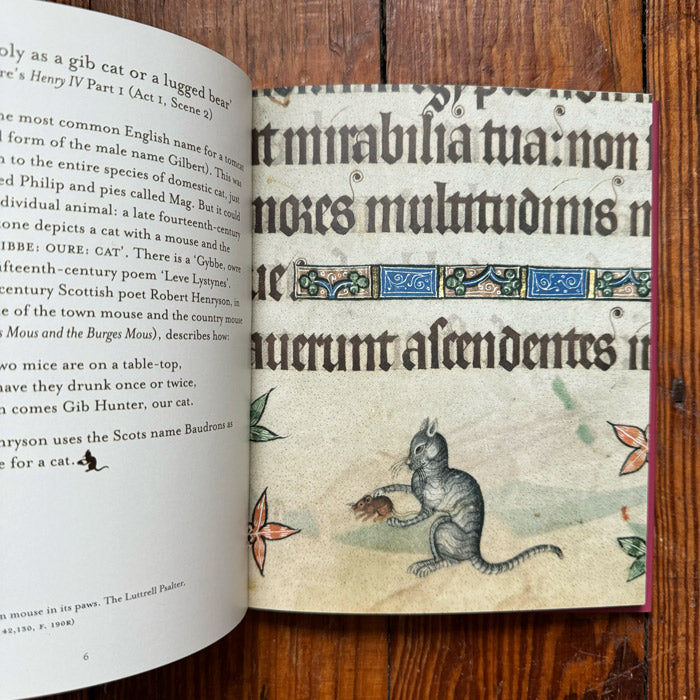 Cats in Medieval Manuscripts - British Library publication – 50 Watts Books