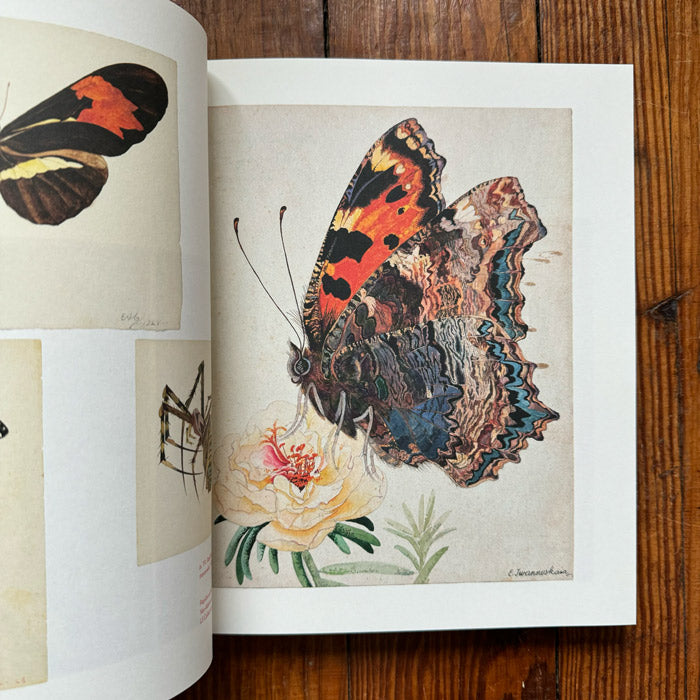 Elisabeth Ivanovksy art book - Georges Meurant – 50 Watts Books