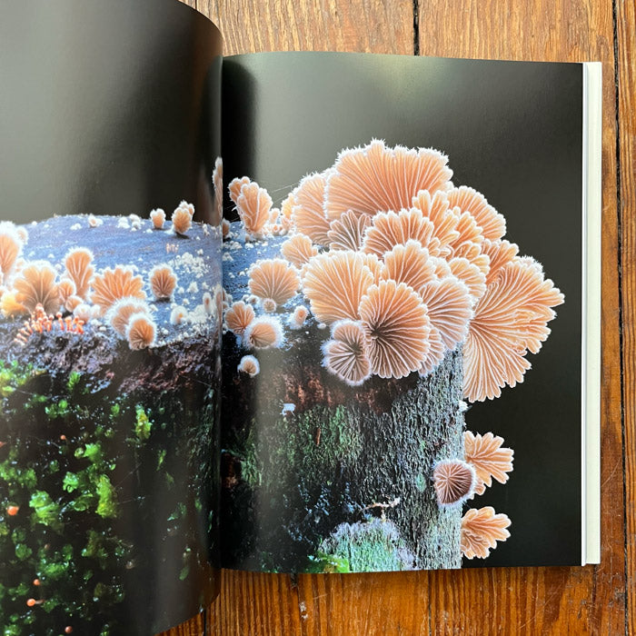 Entangled Life - The Illustrated Edition - Merlin Sheldrake – 50 Watts ...