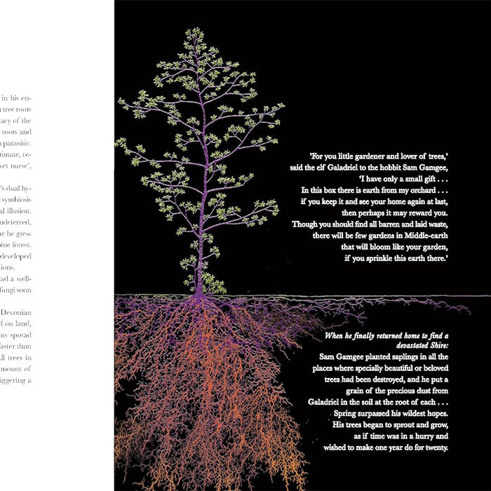 Entangled Life - The Illustrated Edition - Merlin Sheldrake – 50 Watts ...