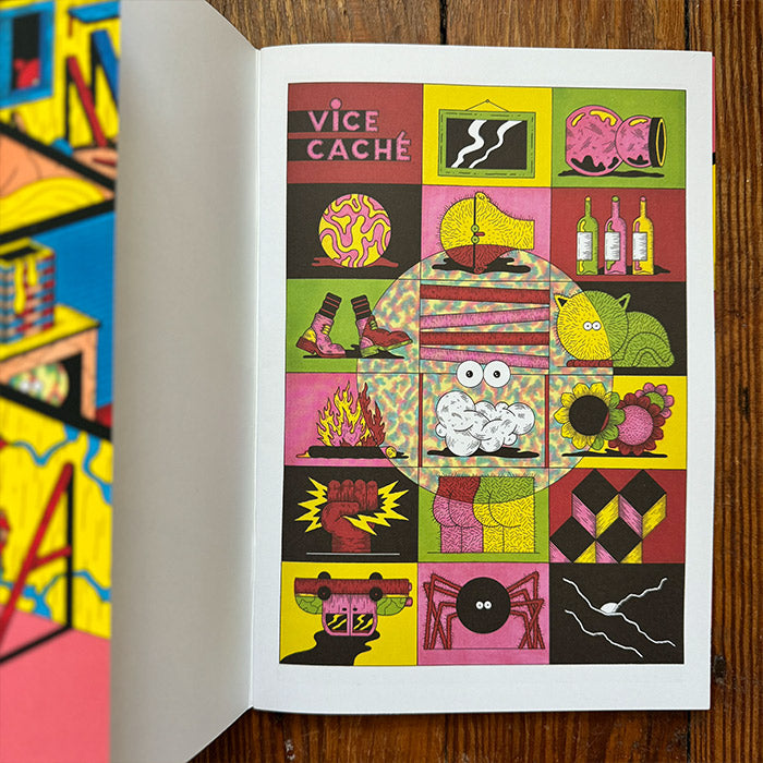 Vice caché - Franeck | Ion Edition – 50 Watts Books