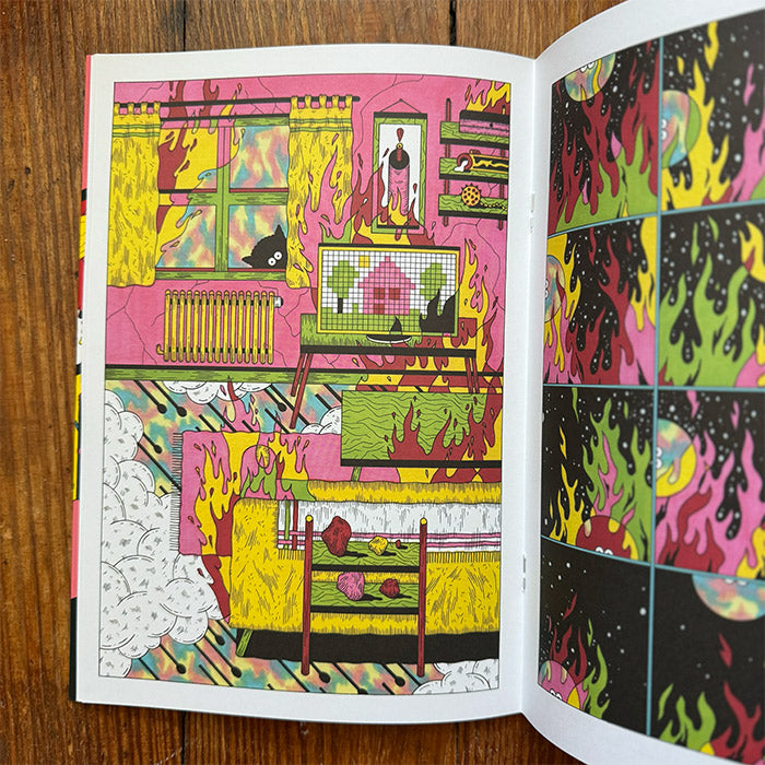 Vice caché - Franeck | Ion Edition – 50 Watts Books