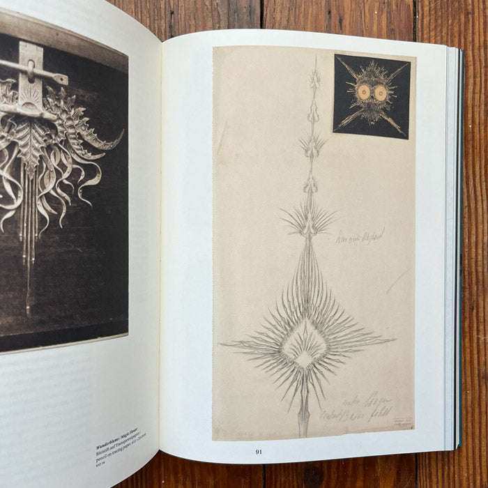 Hermann Obrist - Sculpture, Space, Abstraction around 1900 artbook – 50 ...