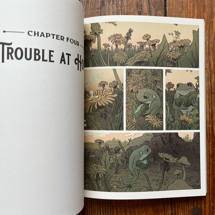 A Frog in the Fall by Linnea Sterte - PEOW – 50 Watts Books