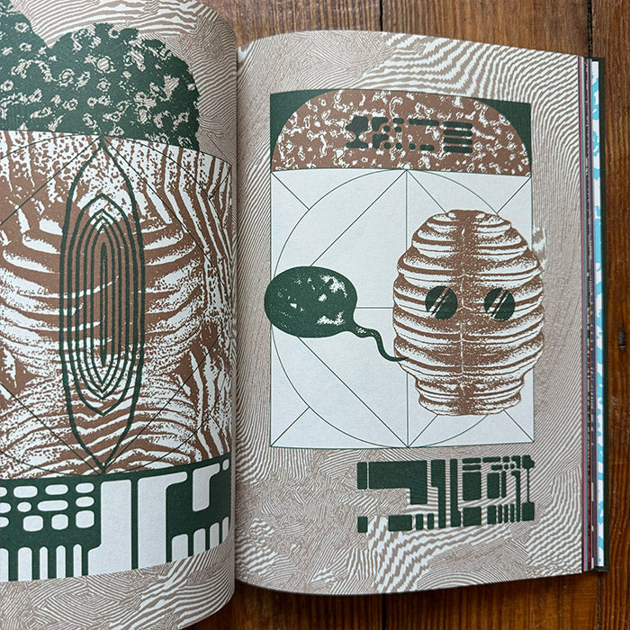 Floodgate Companion - Robert Beatty – 50 Watts Books