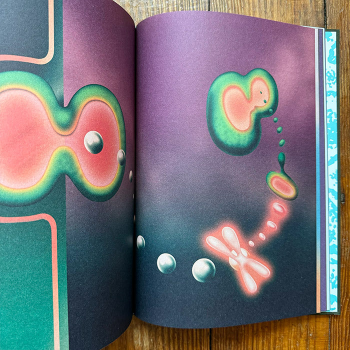 Floodgate Companion - Robert Beatty – 50 Watts Books