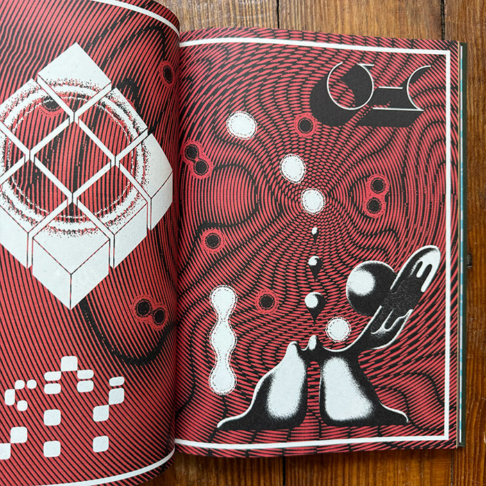 Floodgate Companion - Robert Beatty – 50 Watts Books