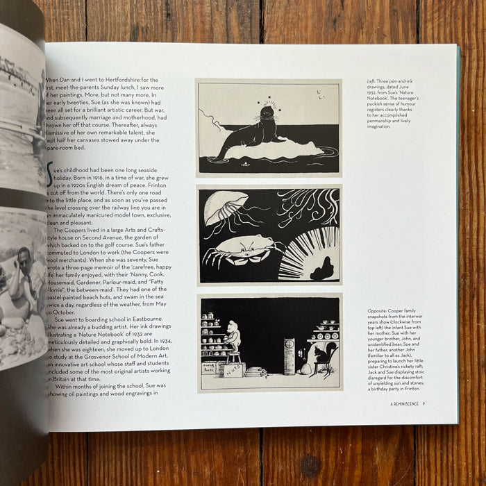 Suzanne Cooper - Paintings under the Spare-Room Bed – 50 Watts Books