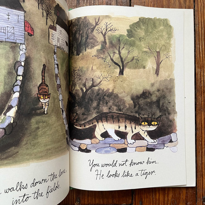 The Truth about Max by Alice and Martin Provensen – 50 Watts Books