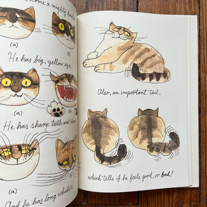 The Truth about Max by Alice and Martin Provensen – 50 Watts Books