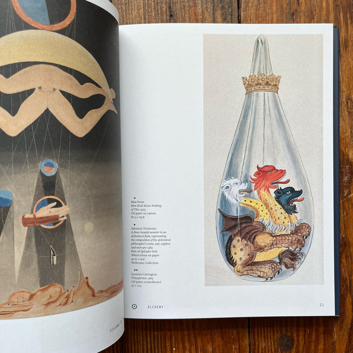 Visions of the Occult by Victoria Jenkins | Tate Gallery art book – 50 ...