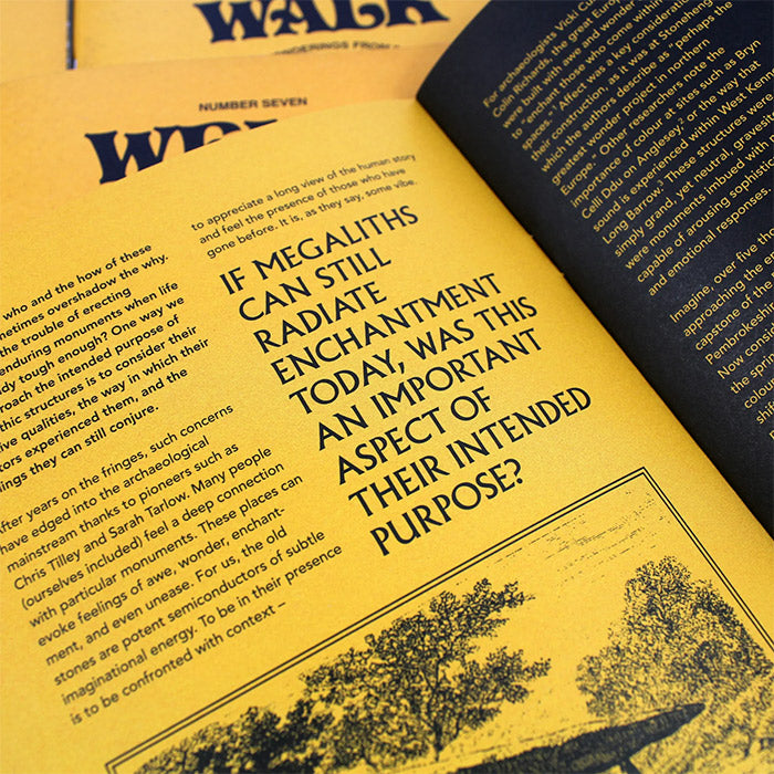 Weird Walk Zine Issue Seven – 50 Watts Books