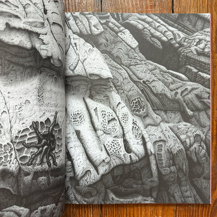 Yoshifumi Hayashi - The Alchemy of the Brain in Lead Pencil – 50 Watts ...
