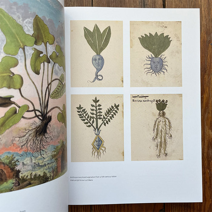 Affinities - A Journey Through Images from The Public Domain Review ...