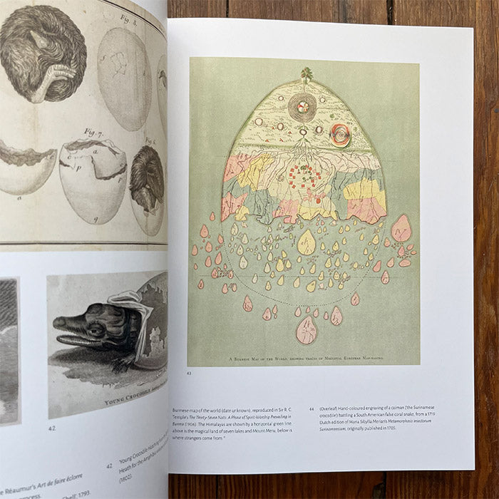 Affinities - A Journey Through Images from The Public Domain Review ...