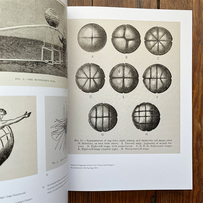 Affinities - A Journey Through Images from The Public Domain Review ...