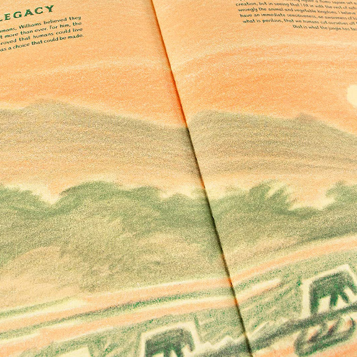Bandoola - The Great Elephant Rescue - William Grill – 50 Watts Books