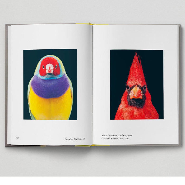 New Photography of the Bird (light wear) – 50 Watts Books
