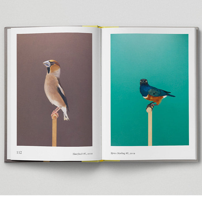 New Photography of the Bird (light wear) – 50 Watts Books