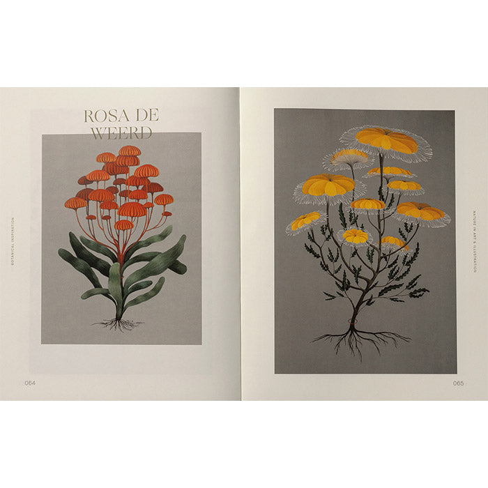 Botanical Inspiration - Nature in Art and Illustration – 50 Watts Books