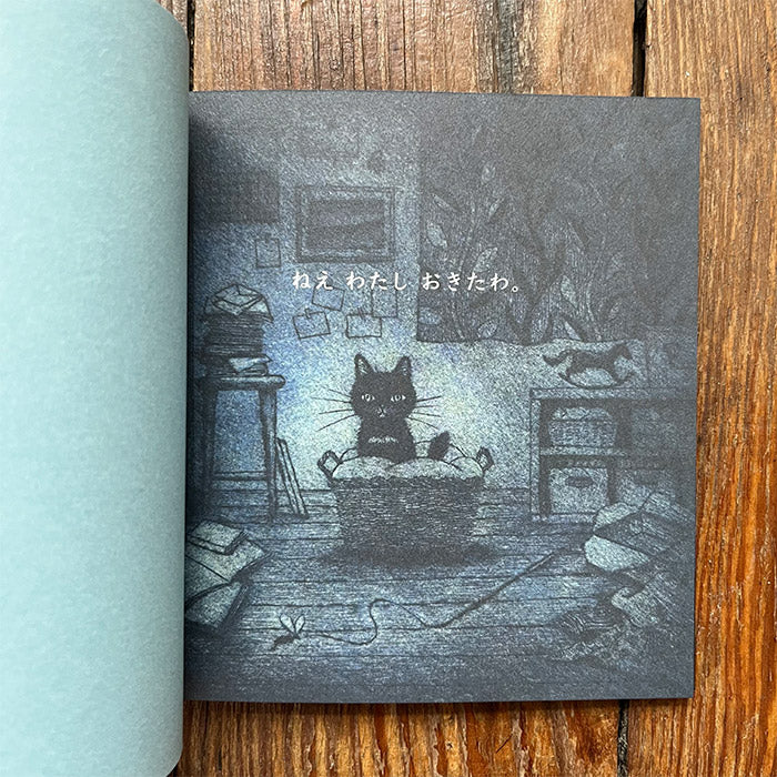 Cat's Meow by Chiaki Sakamoto | Japanese picture book – 50 Watts Books