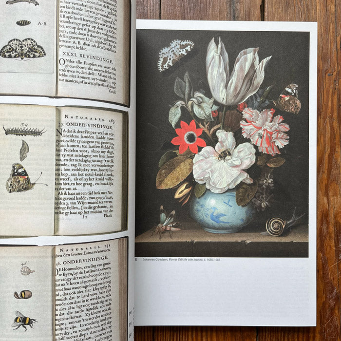 Crawly Creatures – 50 Watts Books