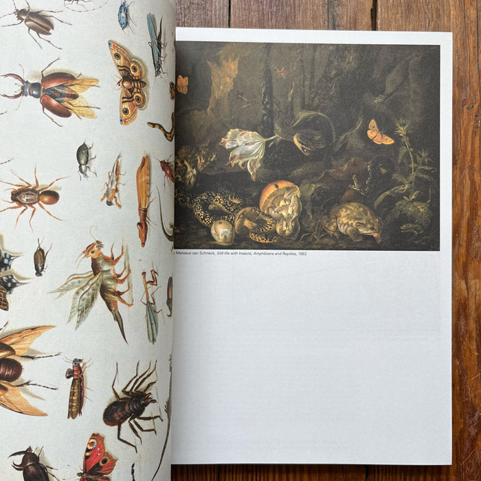 Crawly Creatures - Depiction and Appreciation of Insects and Other Cri ...