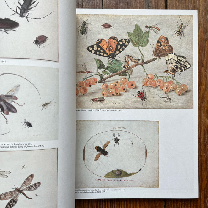 Crawly Creatures – 50 Watts Books