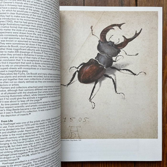 Crawly Creatures - Depiction and Appreciation of Insects and Other Cri ...