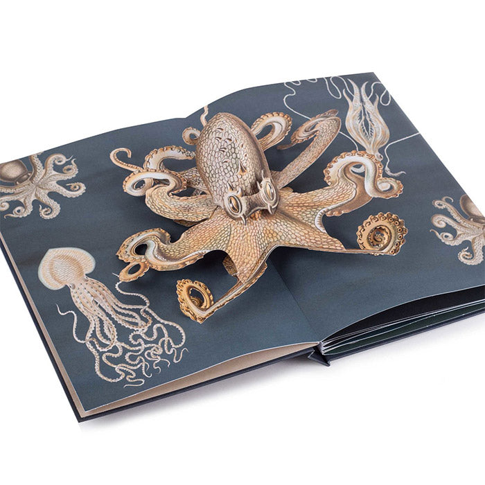 Creatures of the Deep - The Pop-up Book - Maike Biederstaedt – 50 Watts ...