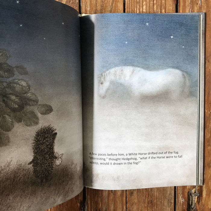 Hedgehog In The Fog Yuri Norstein Picture Book Francesca Yarbusova