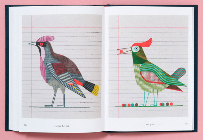 Oiseaux - Jochen Gerner – 50 Watts Books