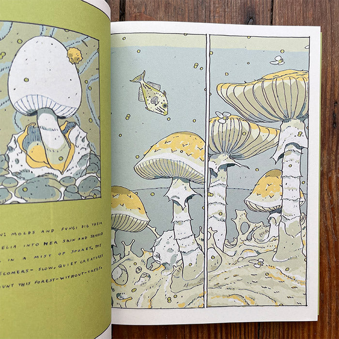 Stages of Rot by Linnea Sterte | Peow Studio – 50 Watts Books