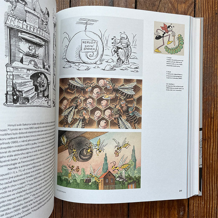 Sekora - Ants and Other Works – 50 Watts Books
