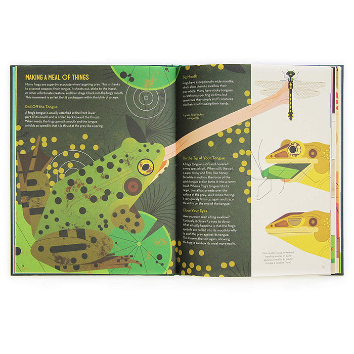 Fanatical About Frogs - Owen Davey – 50 Watts Books