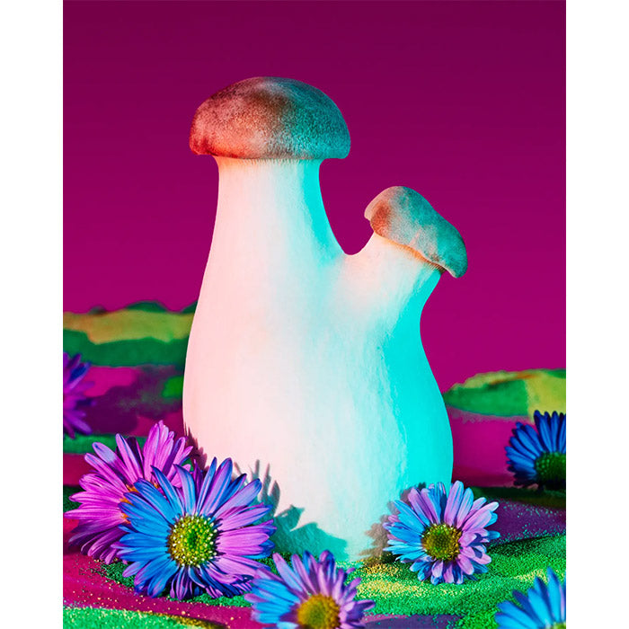 Mushrooms and Friends 2 - Phyllis Ma – 50 Watts Books