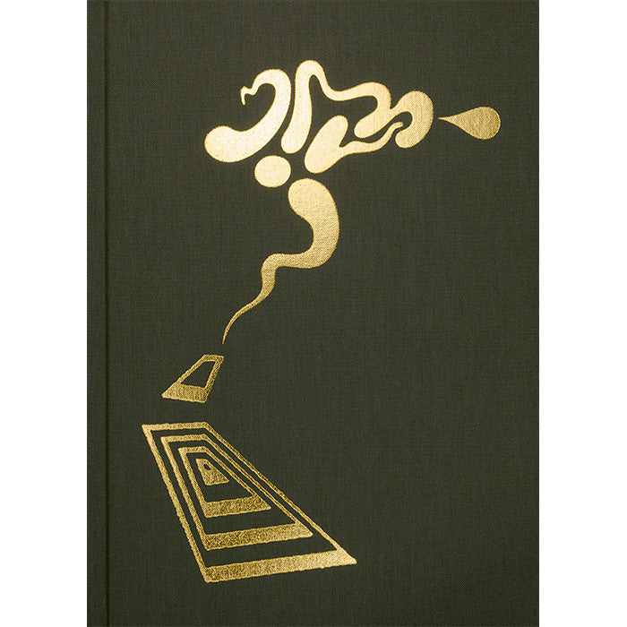 Floodgate Companion - Robert Beatty – 50 Watts Books