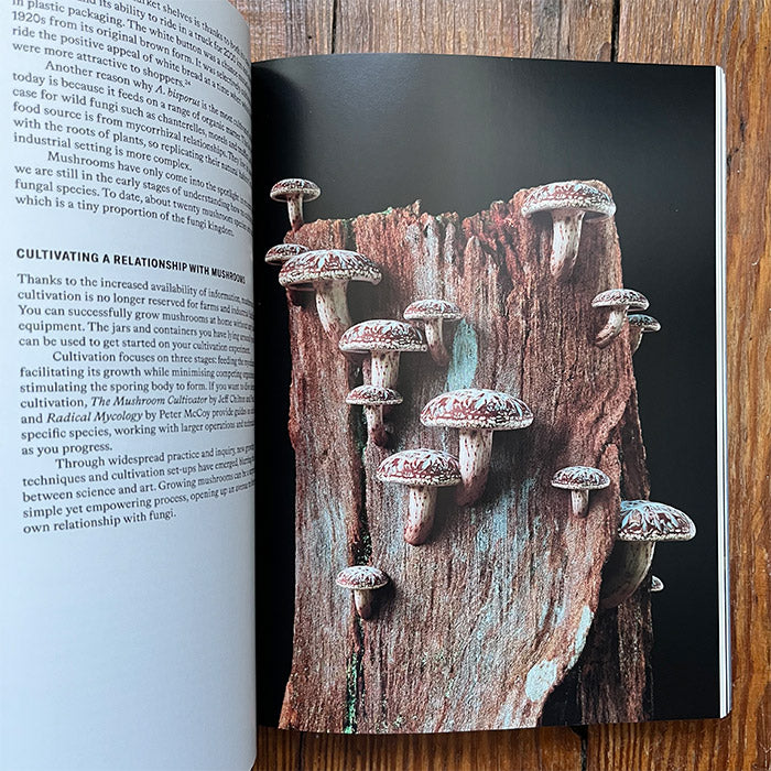 The Future is Fungi - Michael Lim and Yun Shu – 50 Watts Books