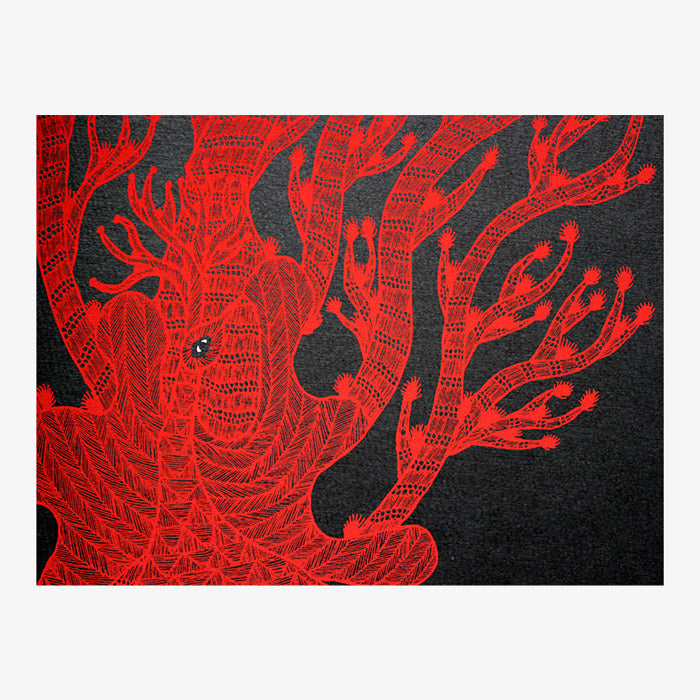 The Night Life of Trees | silkscreen-printed art book of tree lore – 50 ...