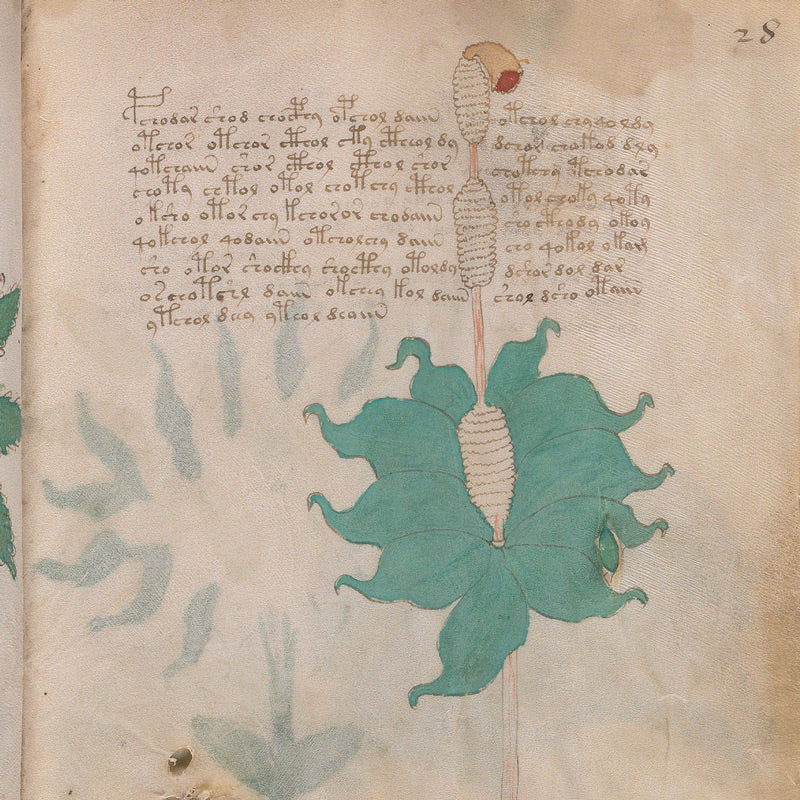 The Voynich Manuscript - The World's Most Mysterious and Esoteric Code ...