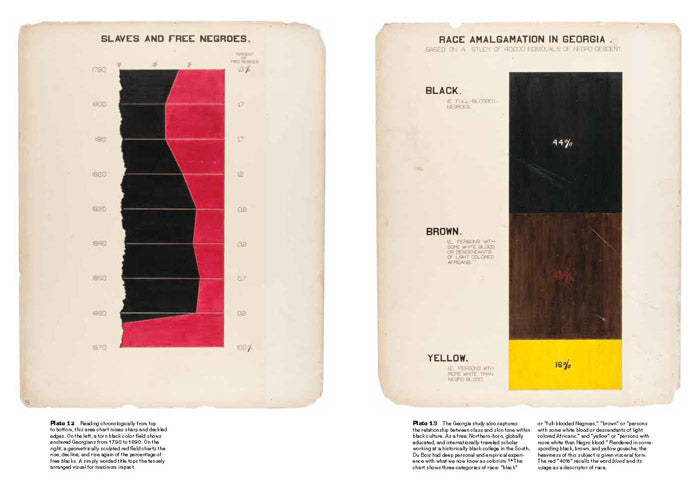 W. E. B. Du Bois's Data Portraits - Visualizing Black America – 50 ...