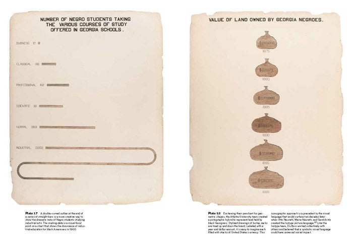 W. E. B. Du Bois's Data Portraits - Visualizing Black America – 50 ...