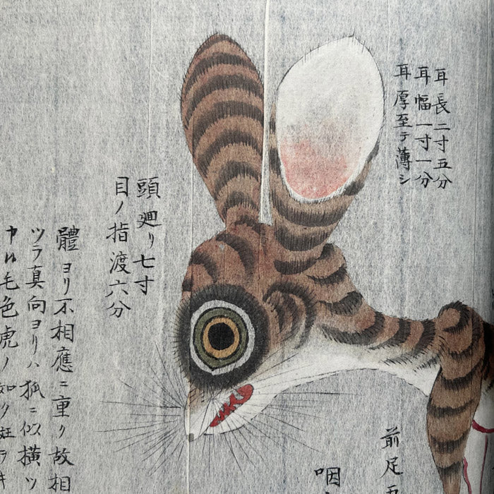 YOKAI (art book from Japan) | yokai monsters and mononoke spirits – 50 ...